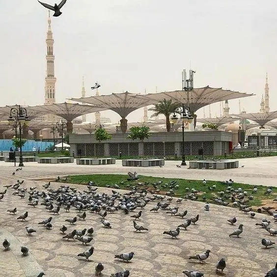 Saqifah Bani Saidah: Tempat Bersejarah di Madinah - Mabruk Tour